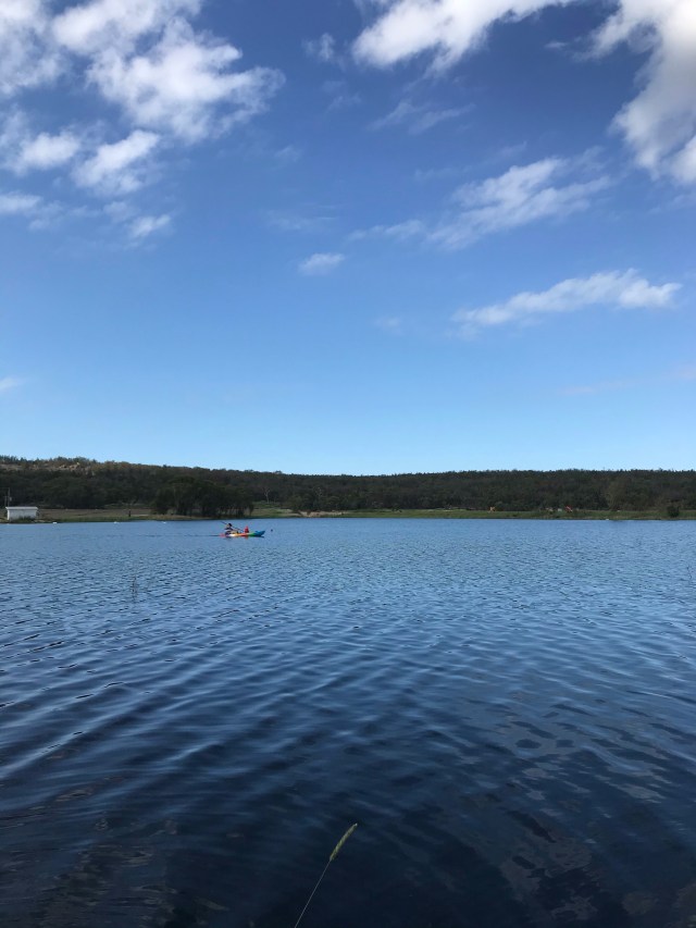 Foxbar Falls camping – Mumma, Did You Know?